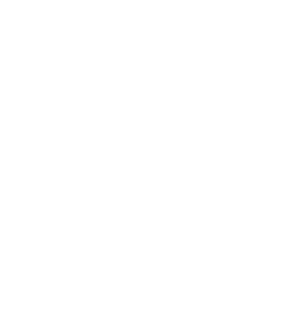 Cyber Imp